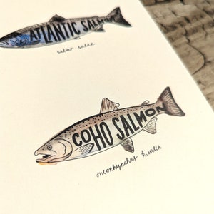 Fish of Michigan Watercolor Art Print - Etsy