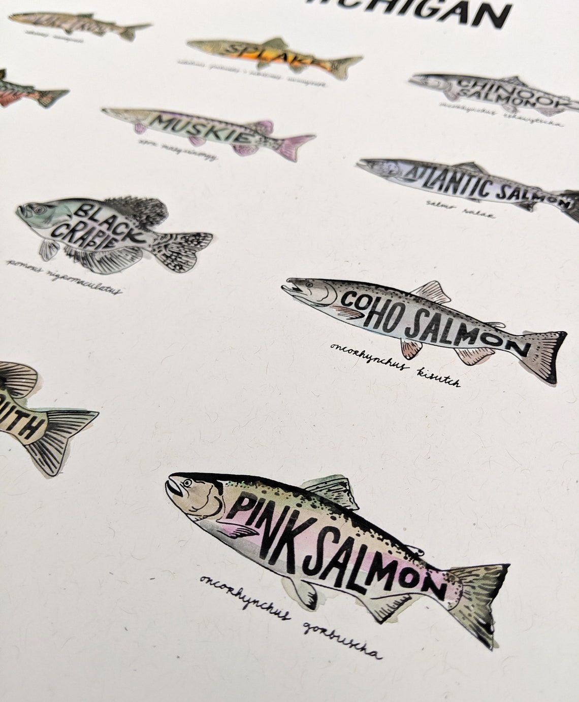 Fish of Michigan Watercolor Art Print - Etsy