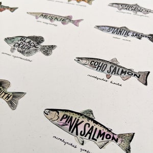 Fish of Michigan Watercolor Art Print - Etsy