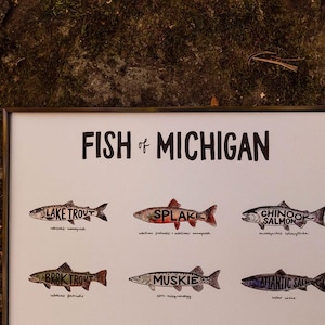 Fish of Michigan Watercolor Art Print - Etsy