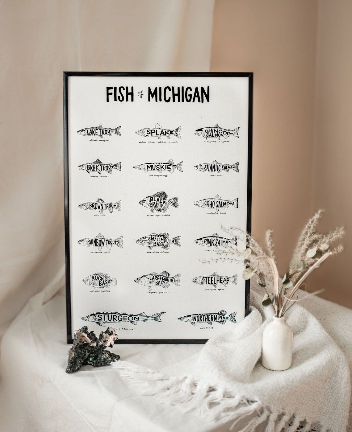 Fish of Michigan Wall Art Print Flyfishing Gift - Etsy
