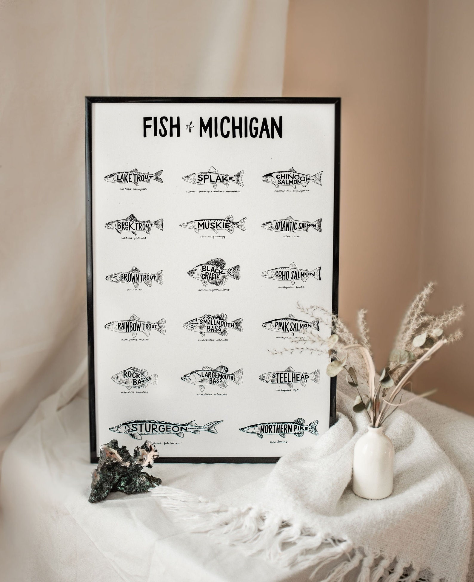 Fish of Michigan Wall Art Print Flyfishing Gift - Etsy