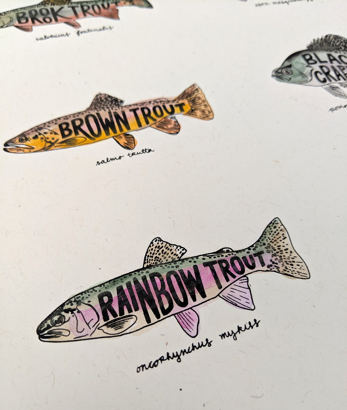 Fish of Michigan Watercolor Art Print - Etsy