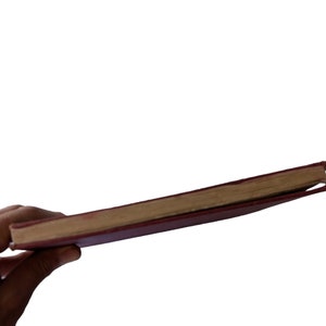 Cyclone Goes A-viking Eva Kristoffersen Norwegian American Children's ...