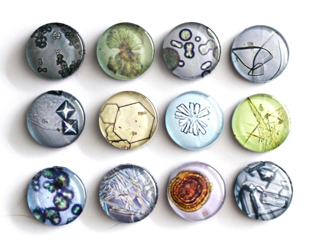 Veterinary Gift, Vet Gift, Crystal Magnets, Urinary, RVT Gift, Vet Tech ...