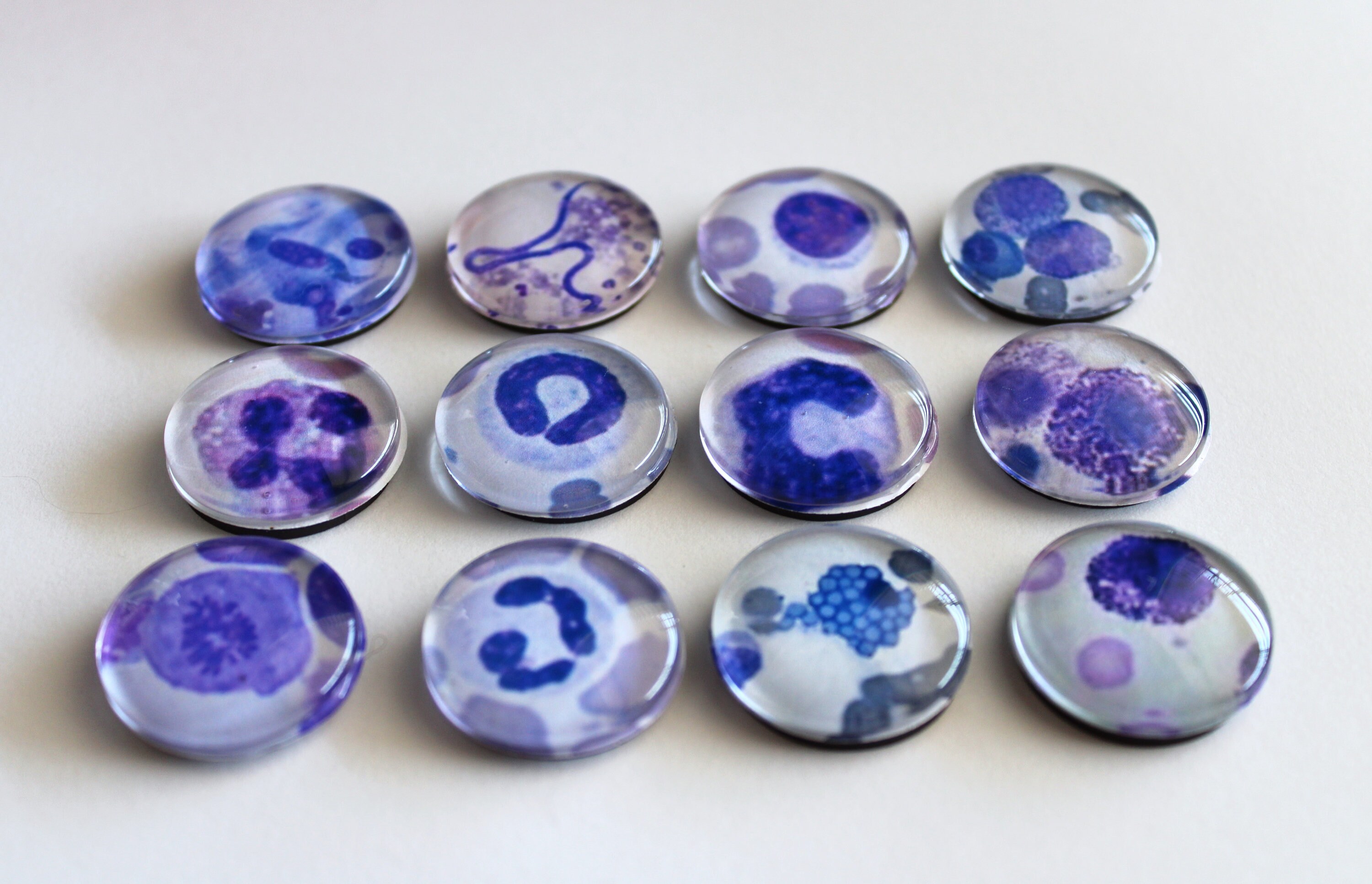 Veterinary Gift, Vet Gift, Parasite Magnets, Hematology, RVT Gift, Vet ...
