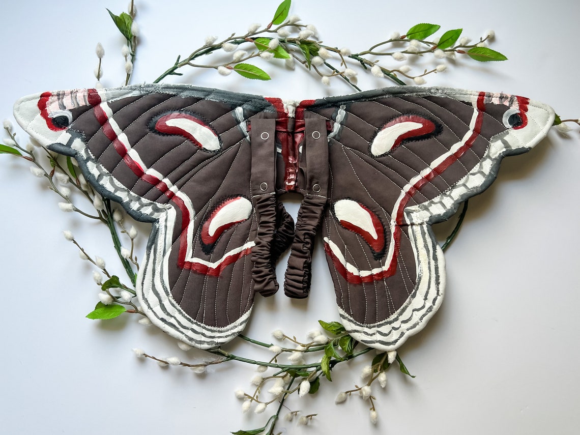 Adult Cecropia Moth Fairy Wings,, Adult Fairy Wings, Unique Gift, Moth ...