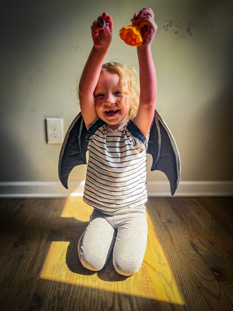 Bat Wings, Kids Pretend Play, Bat Costume, Halloween Costume - Etsy