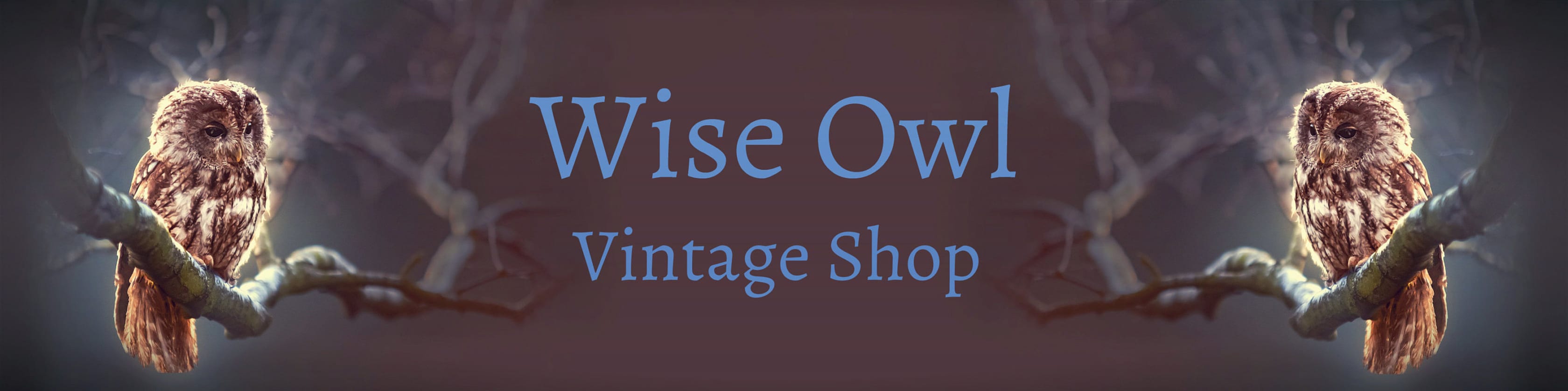WiseOwlVintageShop - Etsy