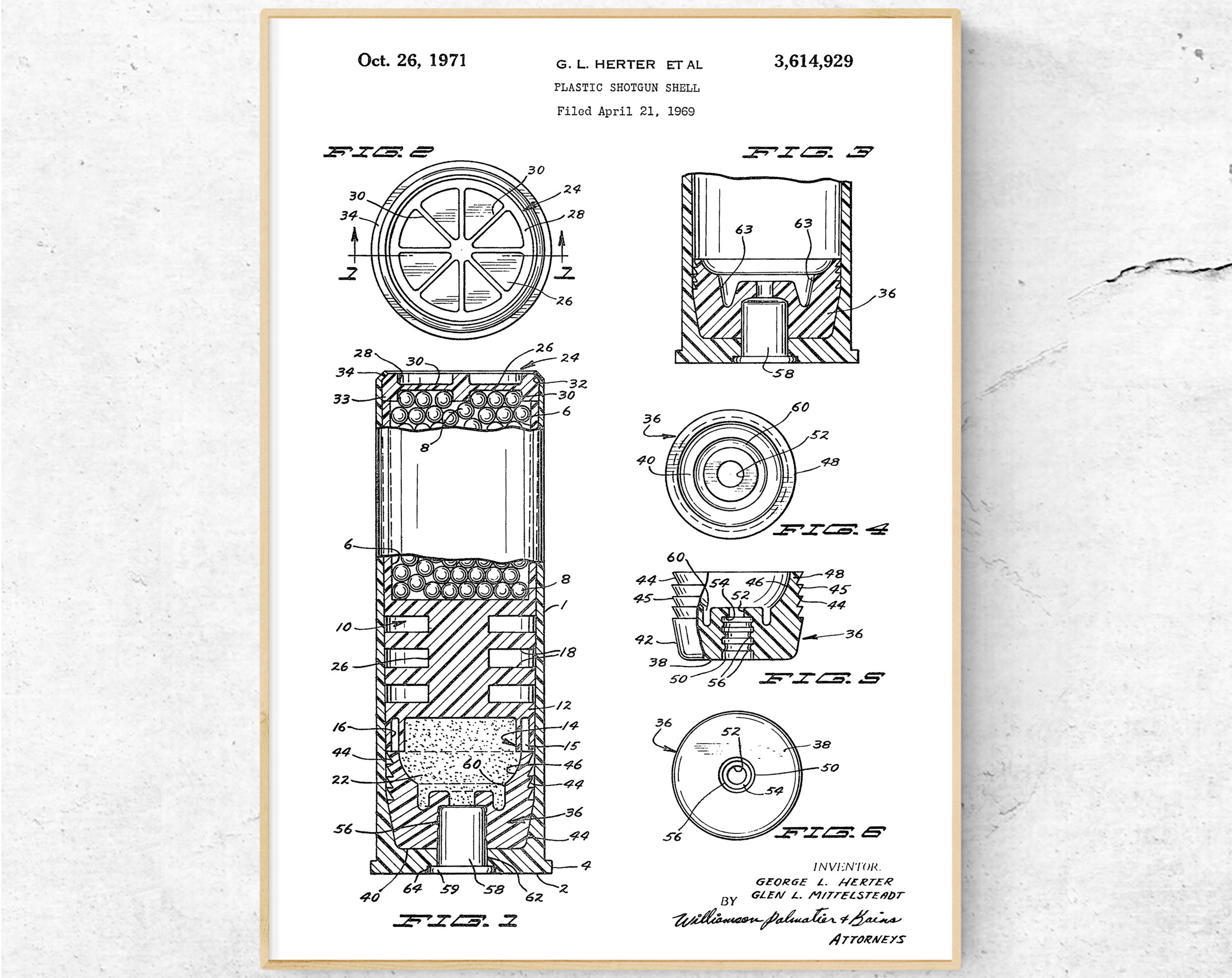 Shotgun Shell Drawing