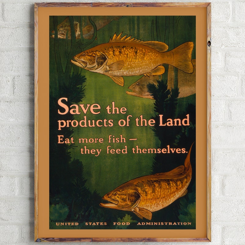 Fish Poster - Etsy