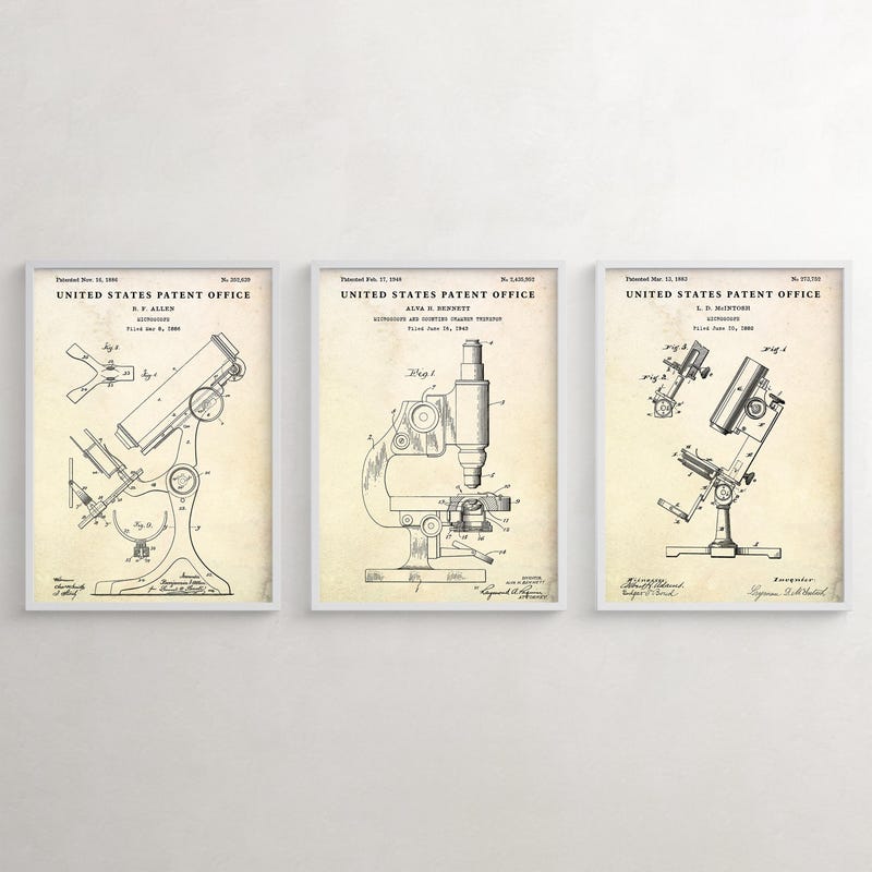 Microbiology Poster - Etsy