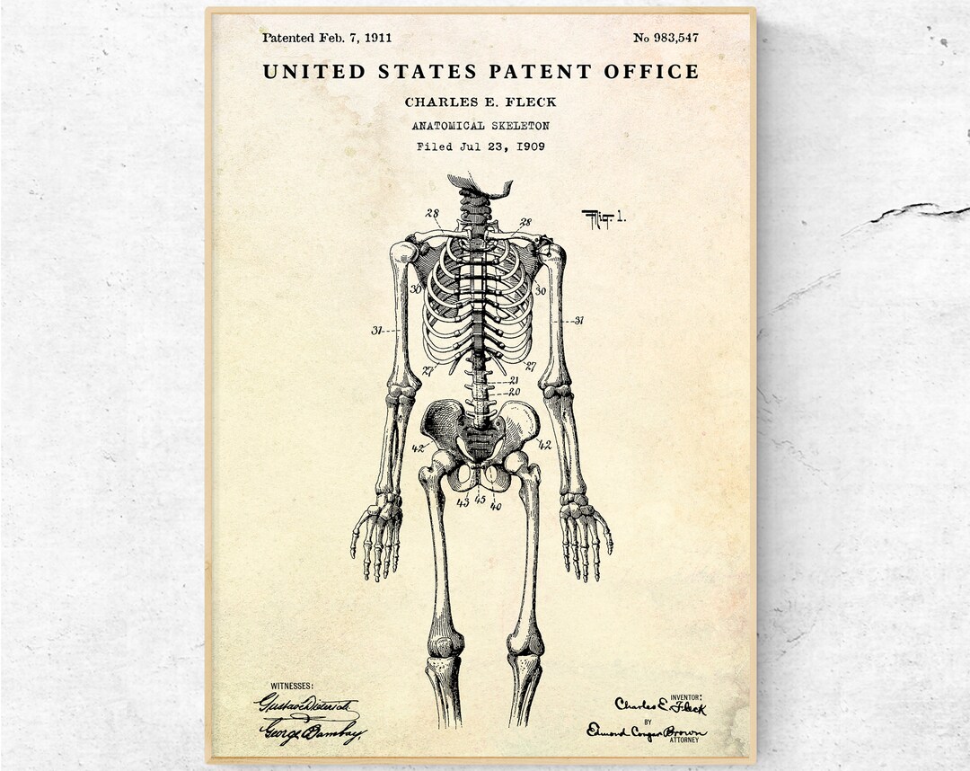 Human Skeleton 1911 Patent Print. Anatomical Invention, Forensic Poster ...