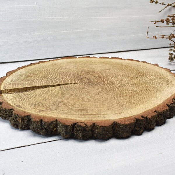 Oak Wood Slice - Etsy