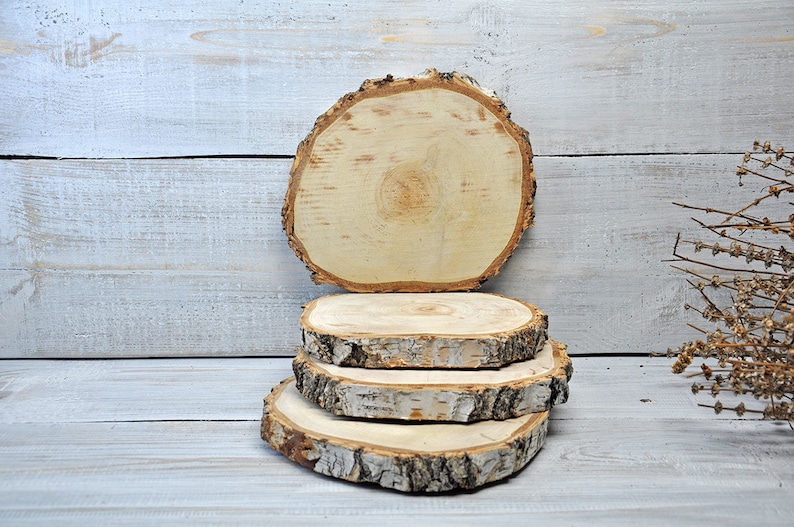 Set of 4 Birch Slices 9'' Wood Slices Wood Centerpiece - Etsy