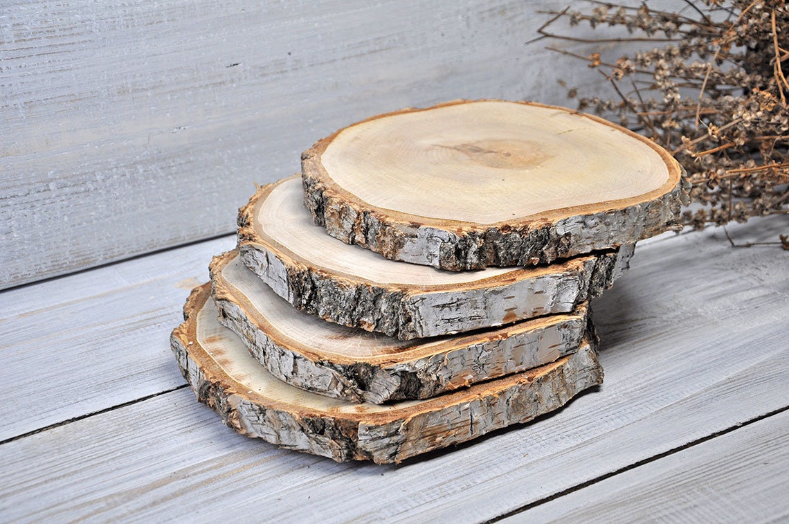 Set of 4 Birch Slices 9'' Wood Slices Wood Centerpiece - Etsy