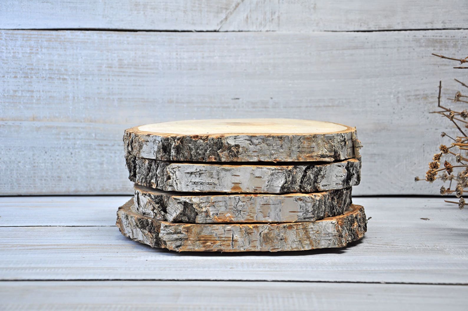 Set of 4 Birch Slices 9'' Wood Slices Wood Centerpiece - Etsy