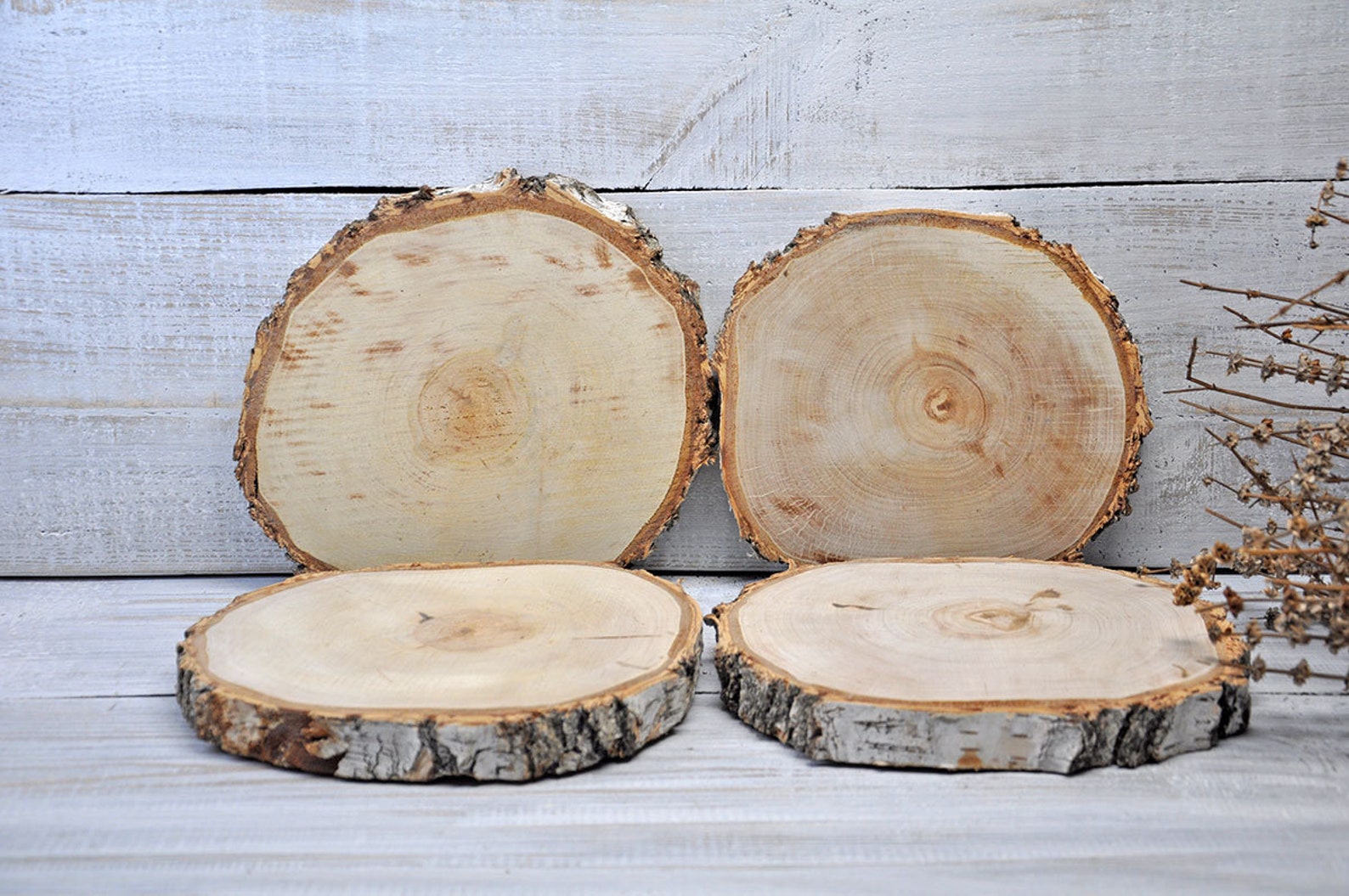 Set of 4 Birch Slices 9'' Wood Slices Wood Centerpiece Rustic Wedding ...