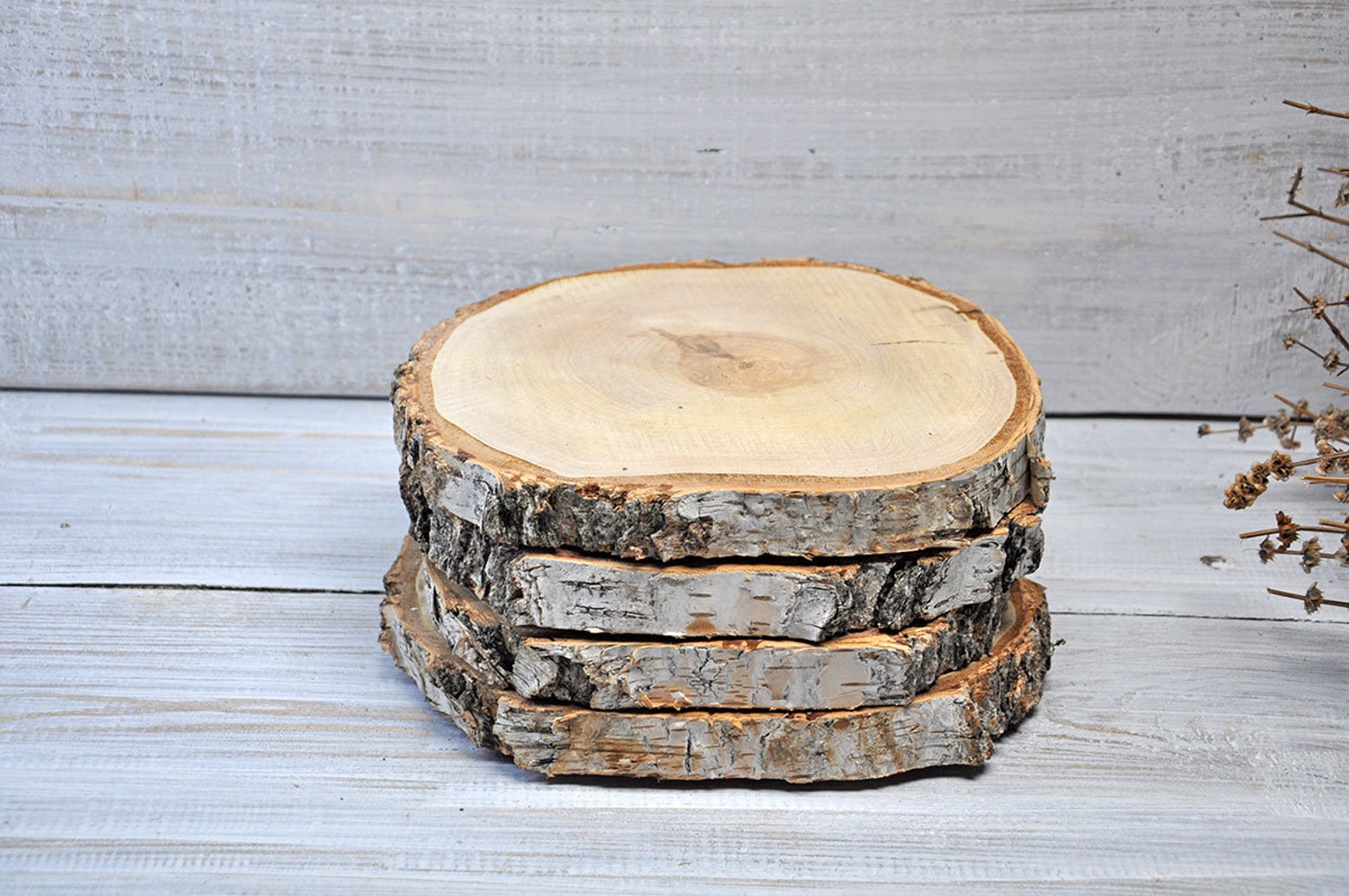 Set of 4 Birch Slices 9'' Wood Slices Wood Centerpiece - Etsy