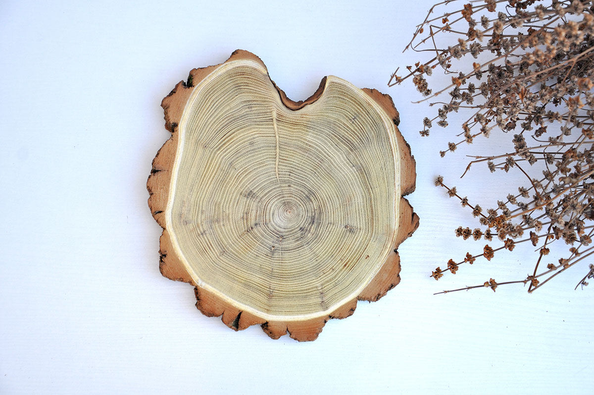 11'' Acacia Wood Slice of Uncommon Shape Wood Slab for Wood Printing ...