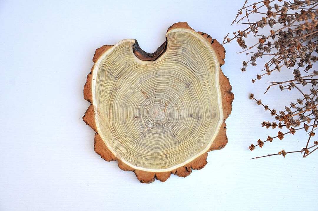 11'' Acacia Wood Slice of Uncommon Shape Wood Slab for Wood Printing ...