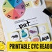CVC Reading Activity ag, at, an, ap Printable - Etsy