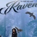 Premade Book Covers, Ebook Covers, Raven - Etsy