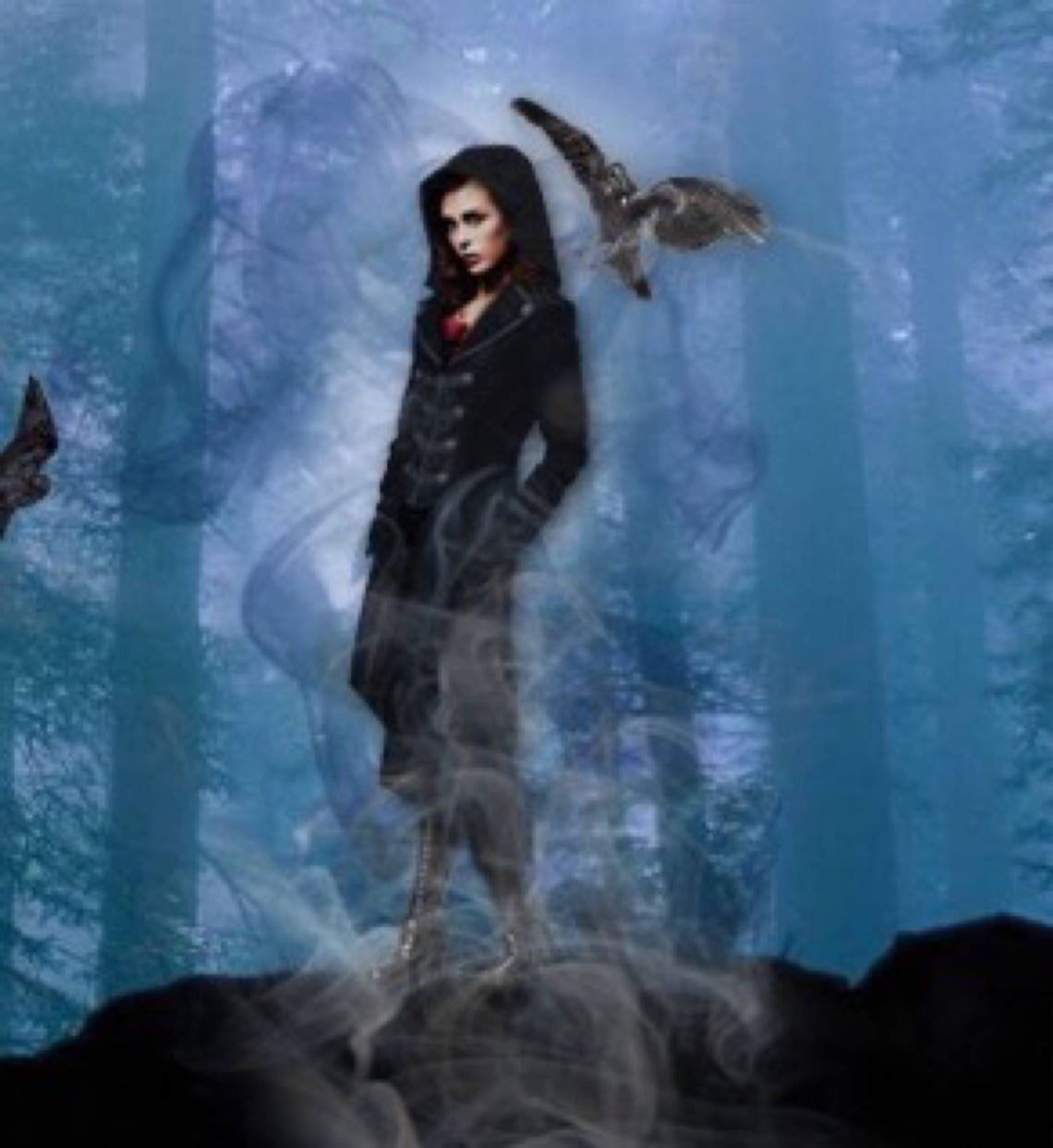 Premade Book Covers, Printed Book Covers, Ebook Covers, Raven - Etsy