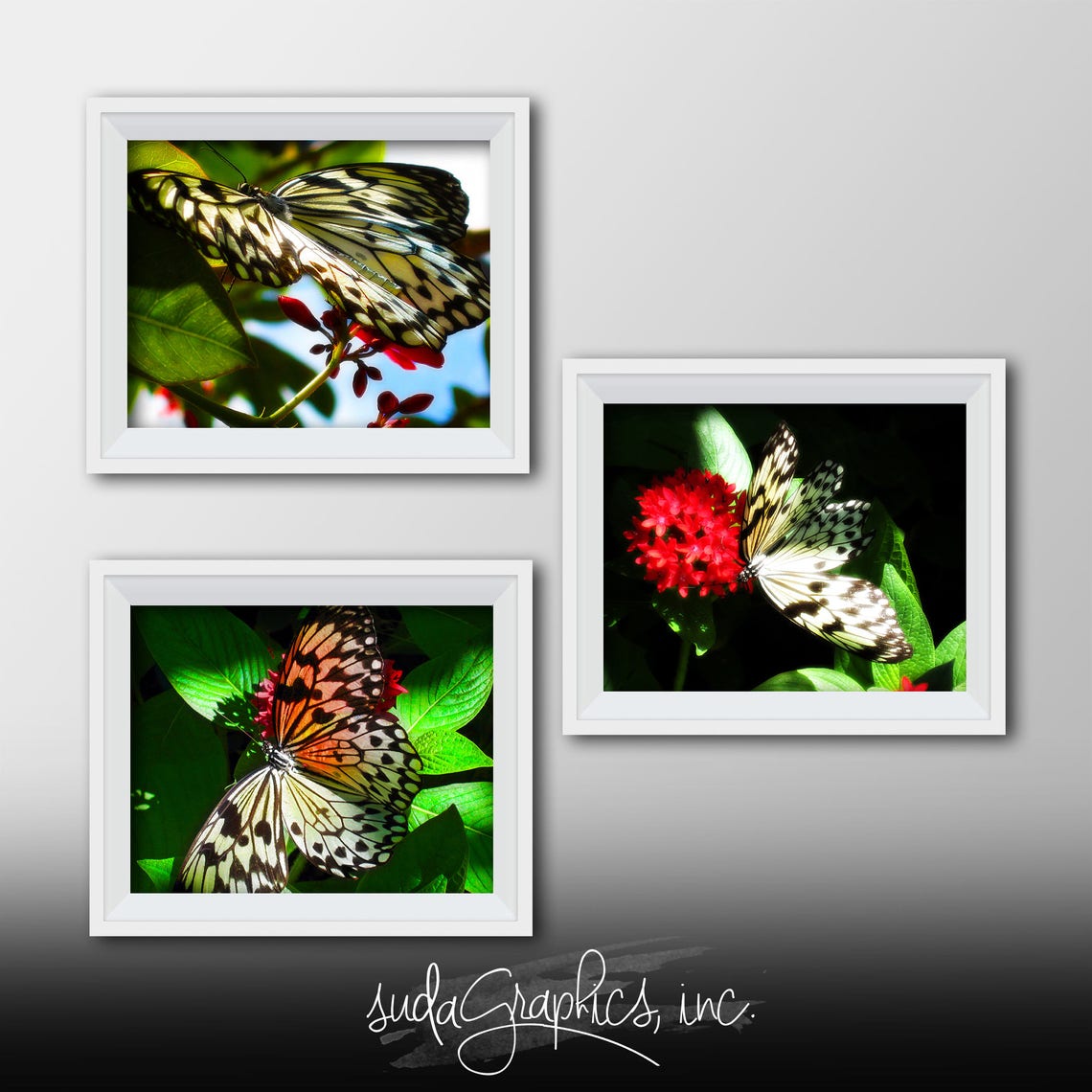Butterfly Printable Wall Art, Butterfly Decor, Butterfly Series 1 Set ...
