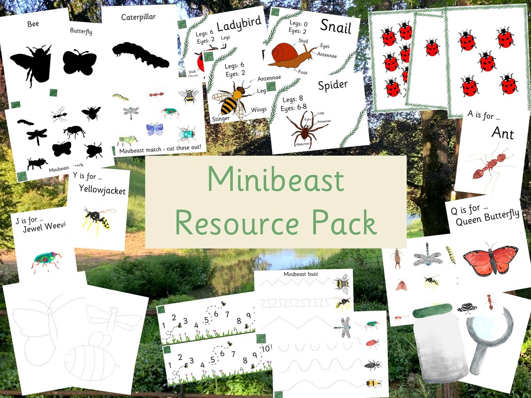 Minibeast Resource Pack, Homeschool Educational Pdf Digital Download ...