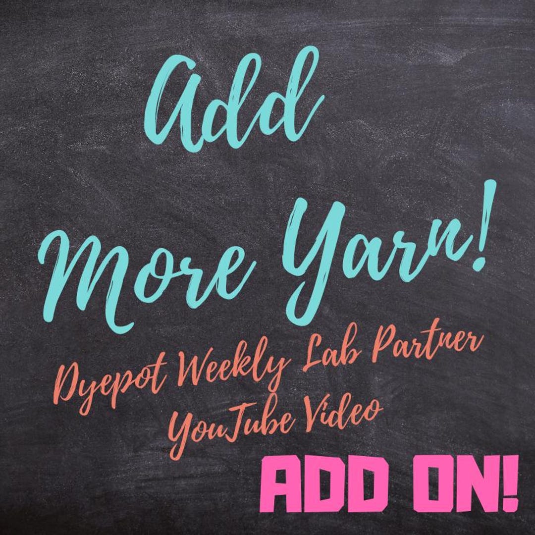 DPW LAB PARTNER Add On: Dyepot Weekly Lab Partner More Yarn (add 100 G ...