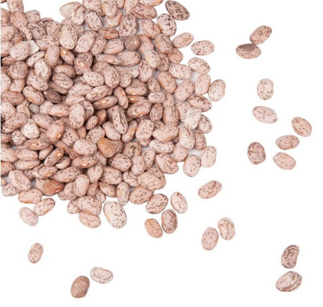 Pinto Beans Dry Bulk 20 Lbs Non-gmo Navajo Agricultural Products ...