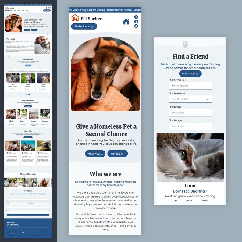 Animal Shelter Wix Studio Website Template – Pet Adoption & Rescue - Etsy