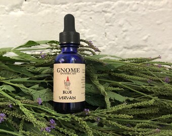 Blue Vervain Tincture Organic verbena Hastata - Etsy