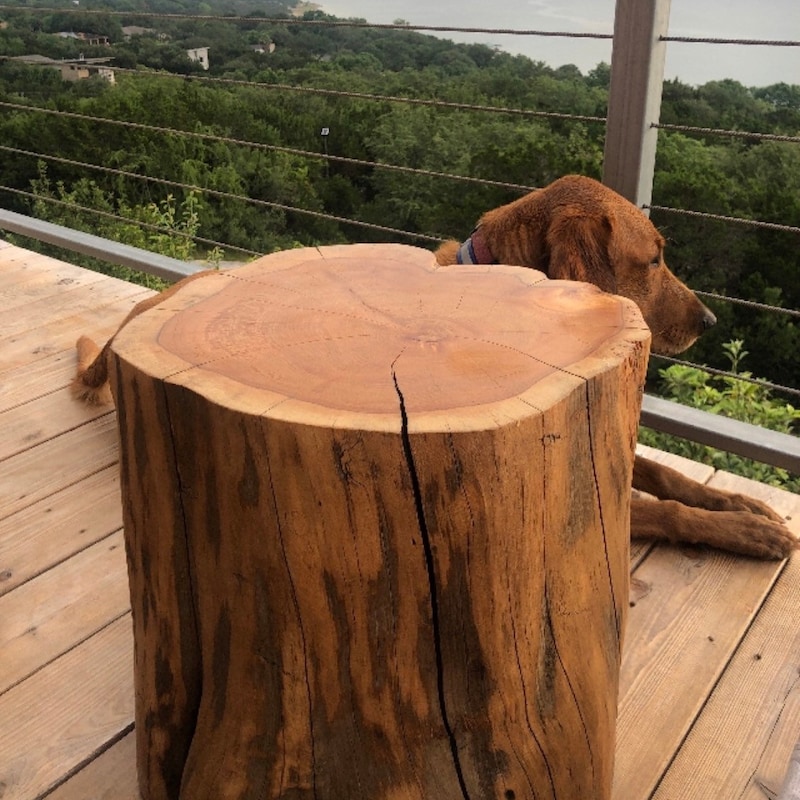 Tree Trunk Table - Etsy