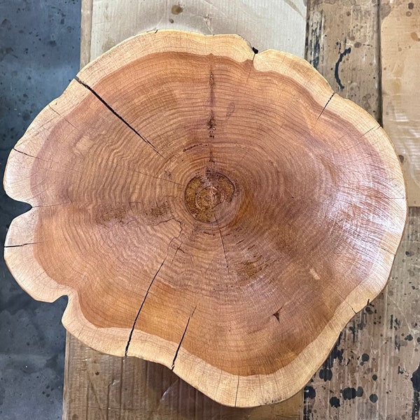 Tree Stump Table - Etsy