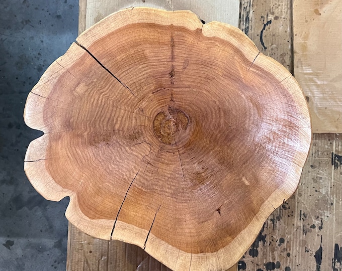 Larch Stump Coffee Table - Etsy