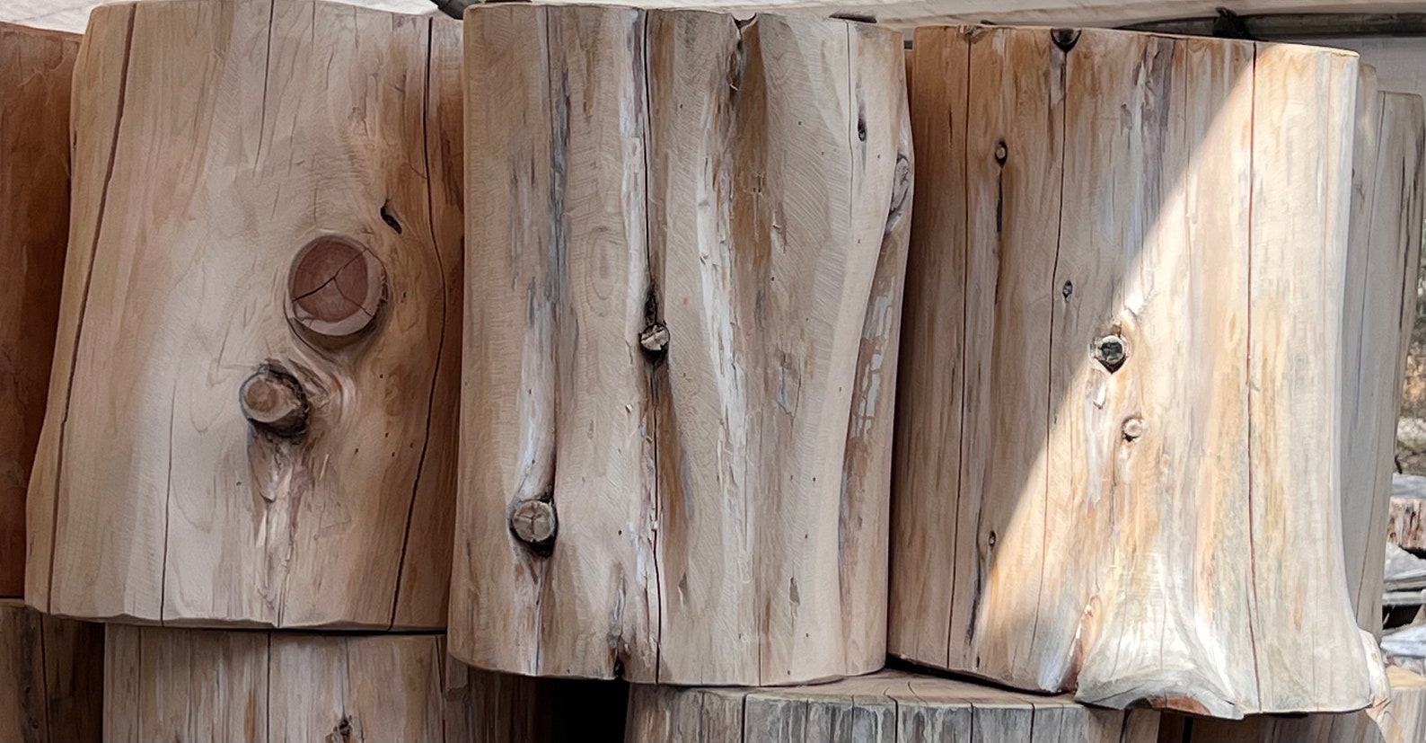 Sun Bleached, Rough Hewn Stump Table - Reclaimed - Etsy