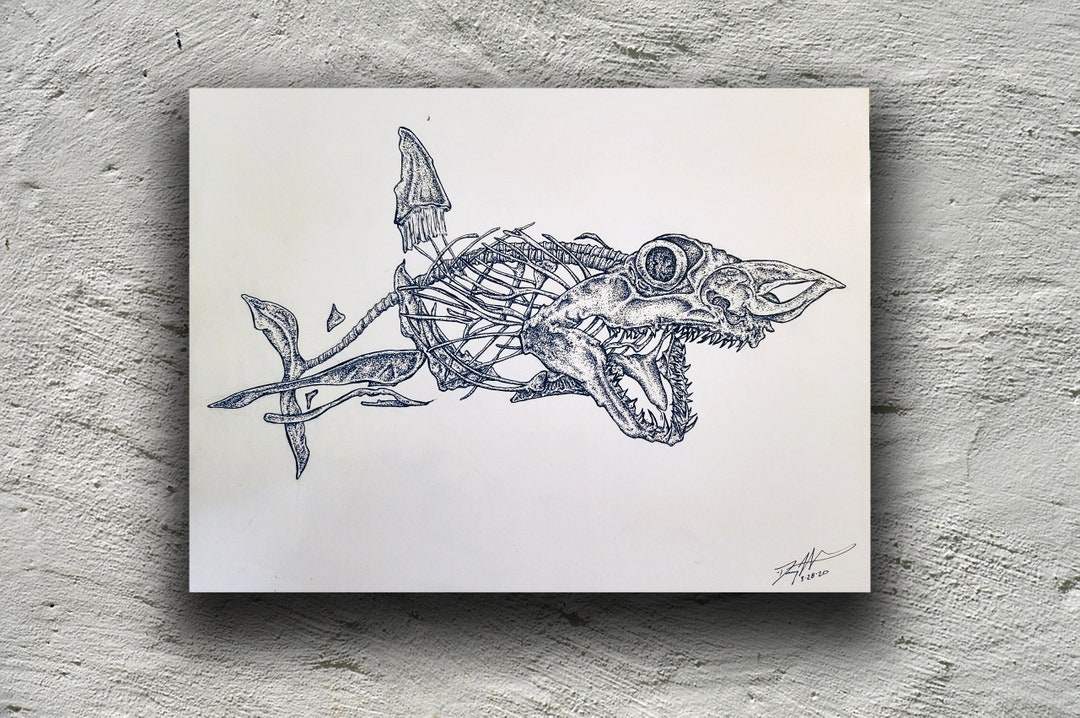 Shark Skeleton Drawing