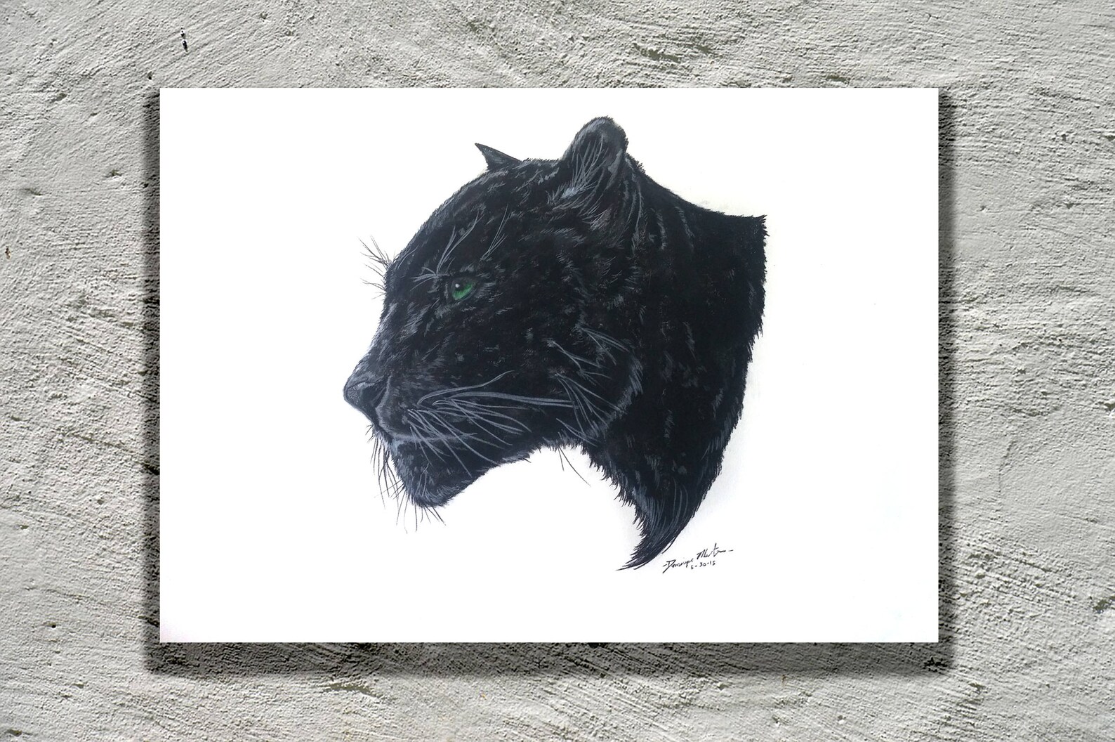 Panther Print black Leopard - Etsy