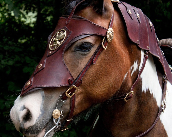 Chamfron With Bridle and Crinet - Etsy