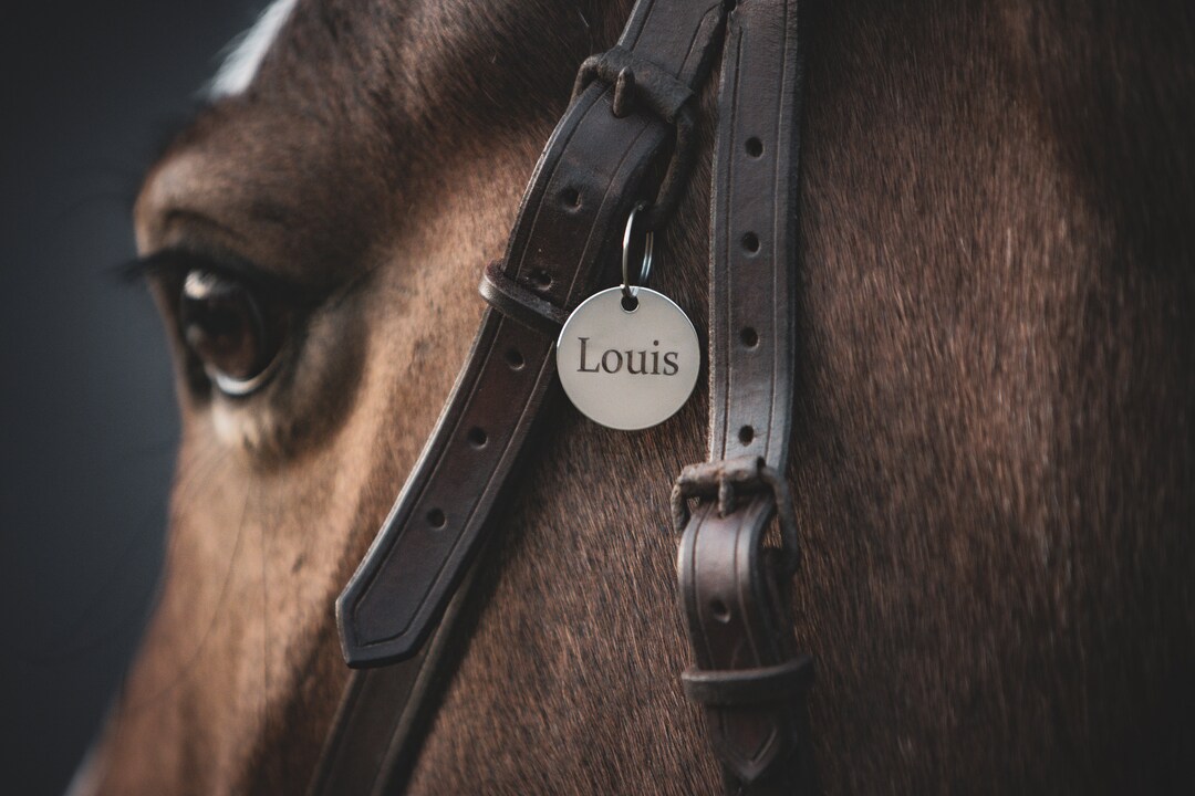 Stainless Steel Horse Name Tag: Halter, Bridle, Saddle (30mm/ 1.18 ...