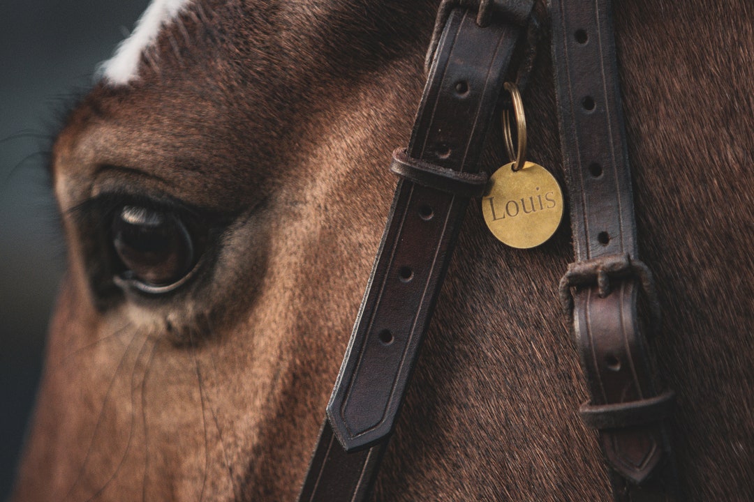 Brass Name Tag (24mm/0.94 Inches)- for Horse Tack, Lead Rope, Halter ...