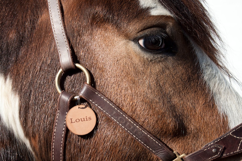 Name Tag for Horse Tack Lead Rope Halter Bridle Saddle | Etsy