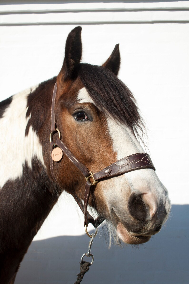 Name Tag for Horse Tack Lead Rope Halter Bridle Saddle | Etsy