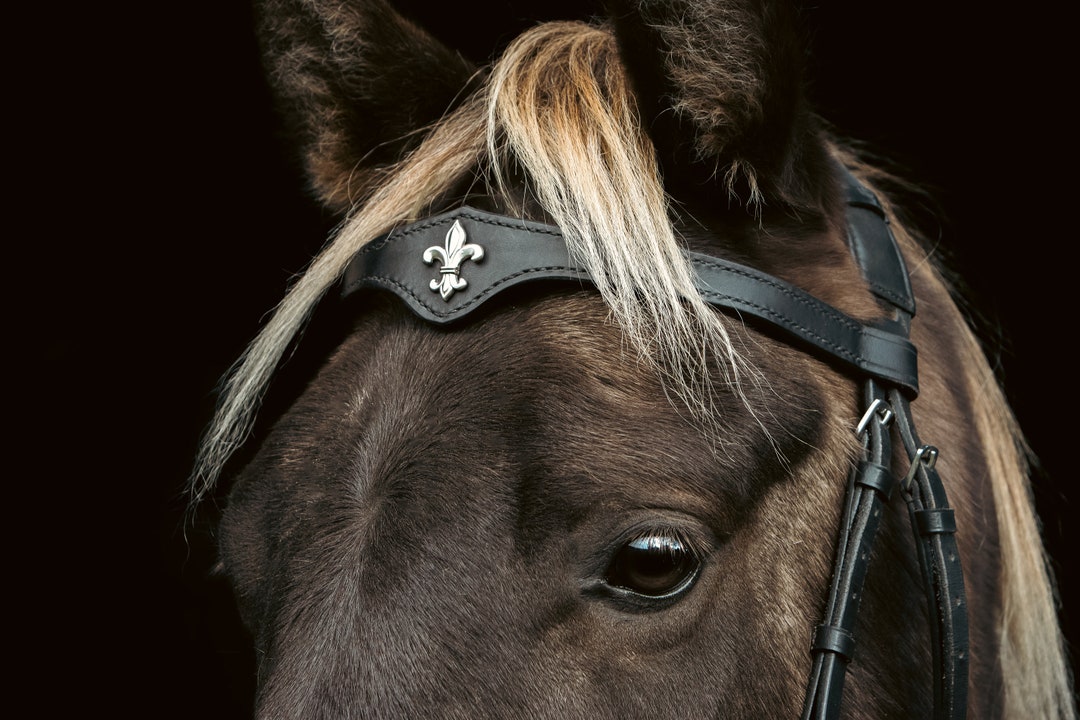 Simple Concho Browband - Fleur De Lis, Celtic Knot, and Templar Cross ...