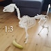 3D Printed Horse Skeleton, Available in Multiple Sizes, Diy-assembly ...