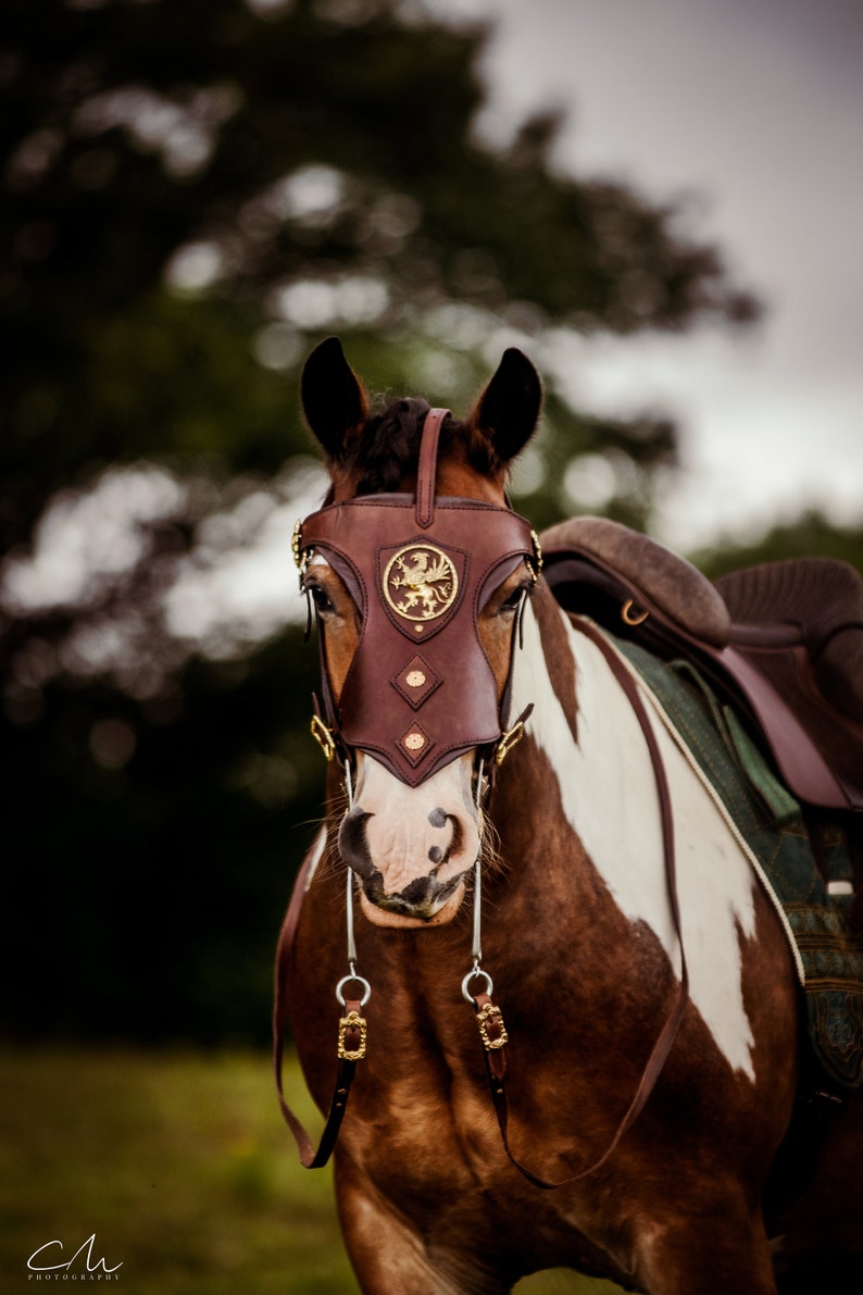 Chamfron #1 DIGITAL PATTERN - Pdf + Dxf - Etsy