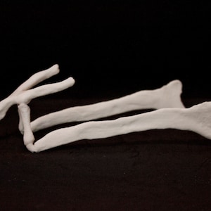 Horse Skeleton BONES Made of ABS Plastic, Multiple Sizes Available - Etsy