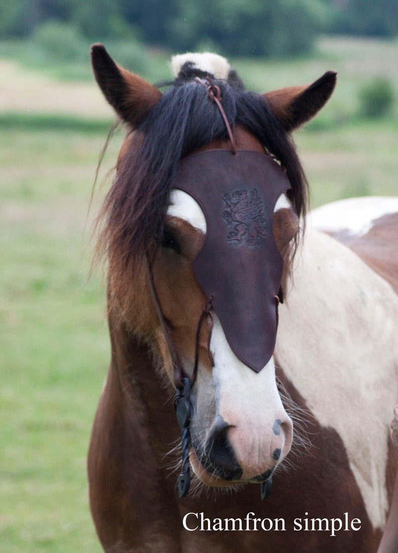 Laser Chamfron Cutting - Leather Blanks - Supplies for Leathermaking ...